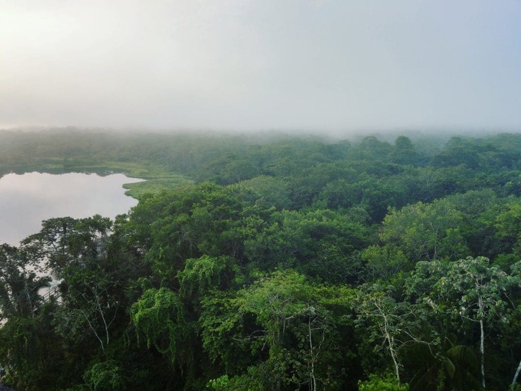 Insider's Guide To The Best Amazon Lodges In Peru And Ecuador | Alpas ...